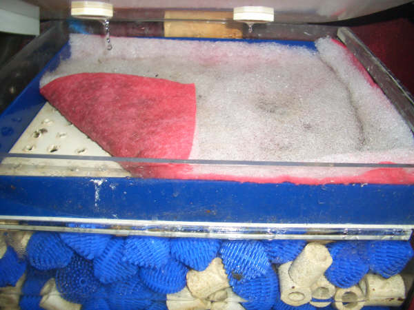 Pinky Filters - Filter Floss - Aquarium Products – Pinkyfilters.com